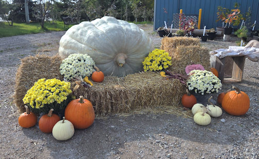 The Kincardine Record | Get out and enjoy the gorgeous fall colours ...