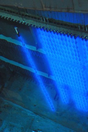 The Kincardine Record | Cobalt-60 from Bruce Nuclear Unit 8 ensures ...