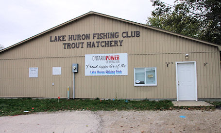 The Kincardine Record | â€‹Kincardine hatchery loses 10,000 fish after ...